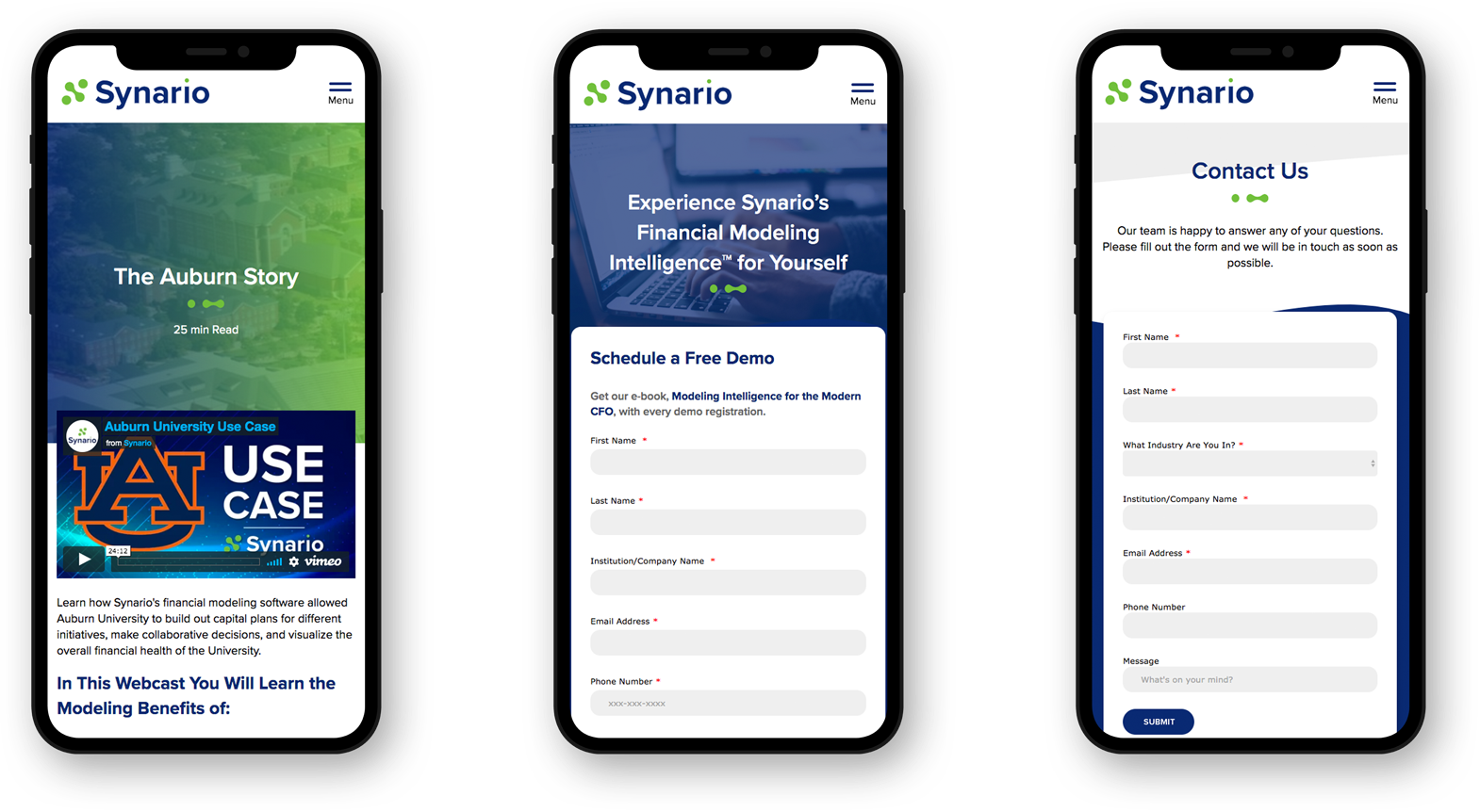 Our Work With Synario – Braithwaite Communications