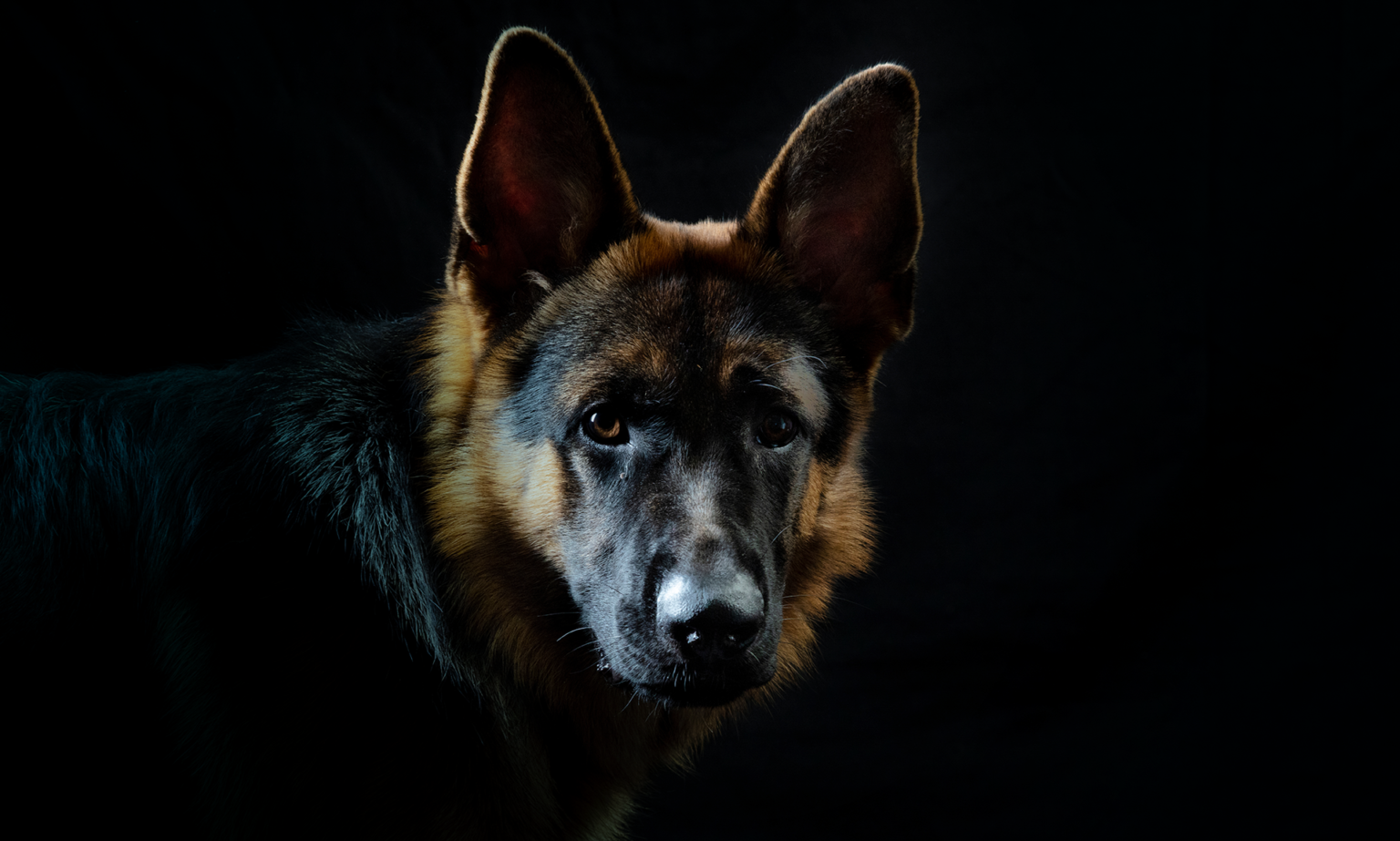 Edward Bernays and Why We Eat Bacon for Breakfast – Braithwaite ...