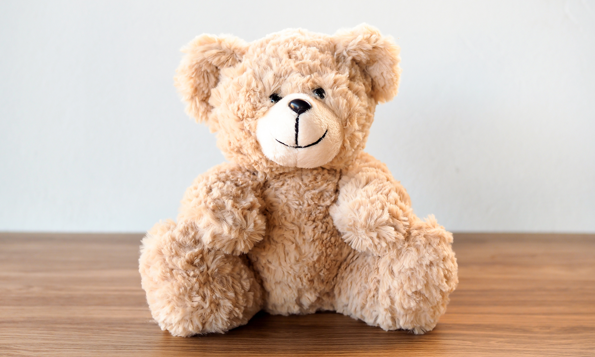 Build-A-Bear Builds an Audience – Braithwaite Communications